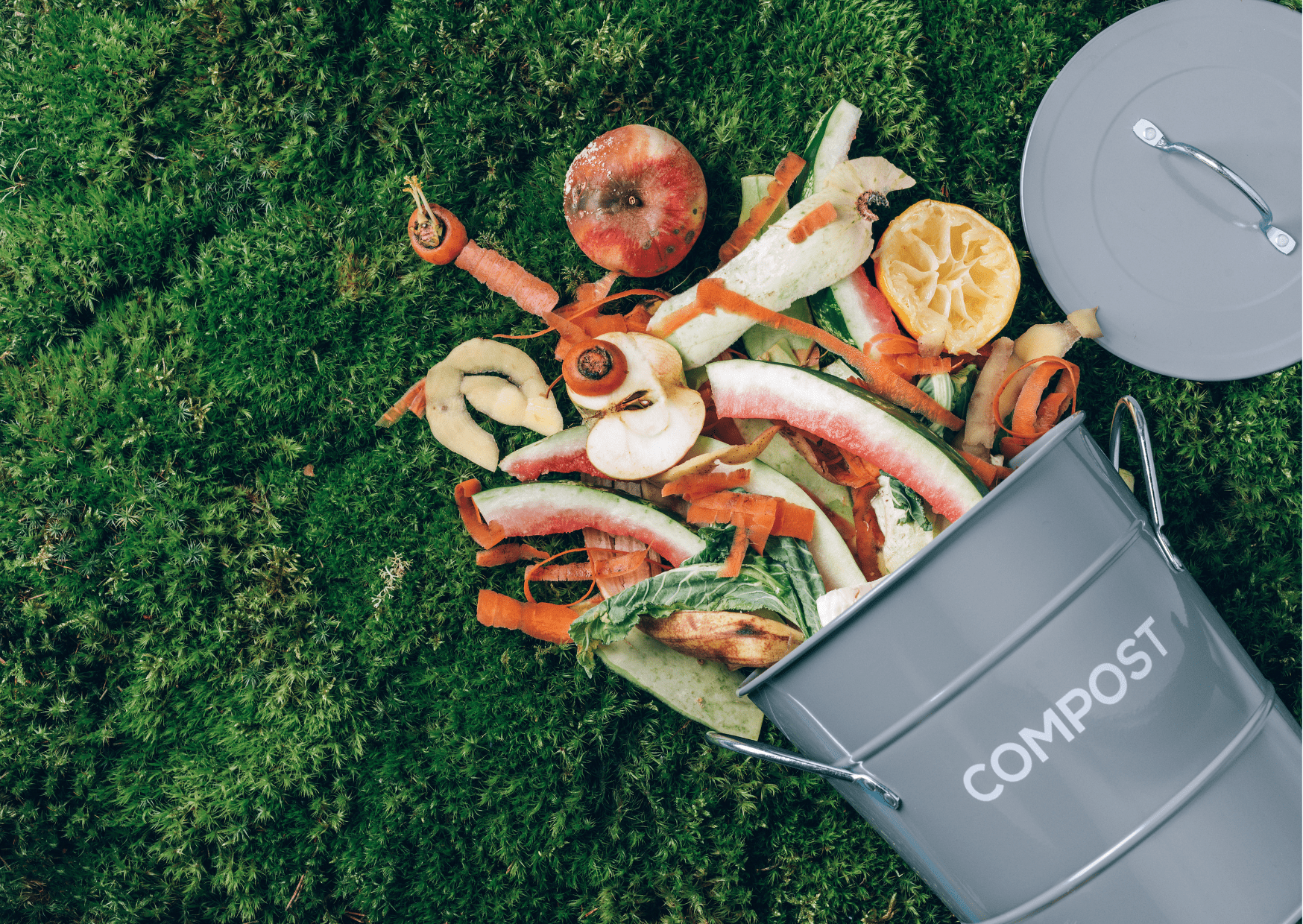 International Compost Awareness Week 2023 | HOOP